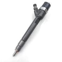 China Bos-ch 0445110373 Common Rail Injector for sale