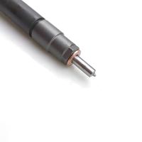 China Bos-ch 0445110373 Common Rail Injector for sale