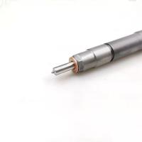 China Bos-ch 0445110418 Common Rail Injector for sale