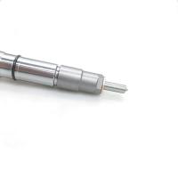 China Bos-ch 0445110437 Common Rail Injector for sale