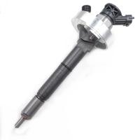 China Bos-ch 0445110491 Common Rail Injector for sale