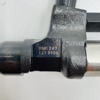 China Denso 095000-0581 Common Rail Fuel Injector 23910-1201 for Hino S05C Engine for sale