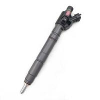 China 0445116050 02C2D53044Bo-sch Piezo Fuel Injector 0445116050 – Fit Land Rover/Jaguar 3.0 V6 for sale
