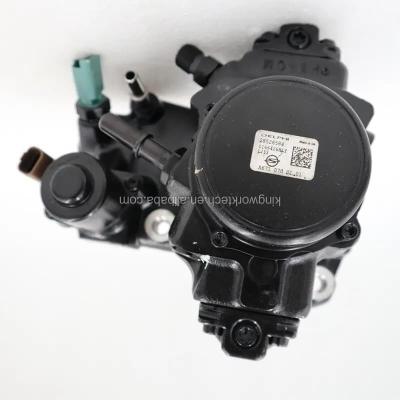 China D-elphi 28526584 OE Standard Diesel Fuel Pump Durable High Pressure Engineering Equipment Pump for sale
