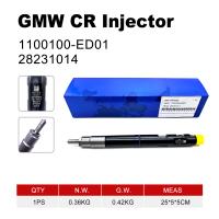 China D-elphi 28231014 Common Rail Diesel Fuel Injector for Great Wall Motors for sale