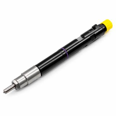 China D-elphi 28231014 Common Rail Diesel Fuel Injector for Great Wall Motors for sale