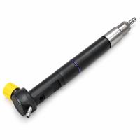 China D-elphi 28489562 Common Rail Diesel Injector for Chevrolet 2.0 Diesel for sale