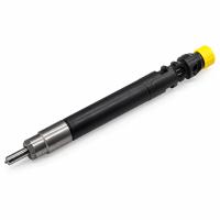 China De-lphi EMBR00101D Common Rail Diesel Injector for Ford and PSA 2.0 Diesel for sale