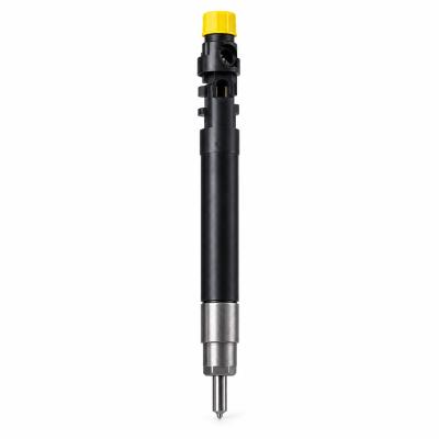 China De-lphi EMBR00101D Common Rail Diesel Injector for Ford and PSA 2.0 Diesel for sale