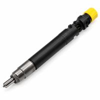 China De-lphi EMBR00101D Common Rail Diesel Injector for Ford and PSA 2.0 Diesel for sale