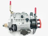 China De-lphi 9521A312T DP310 Diesel Fuel Injection Pump for Perkins Generator Sets for sale