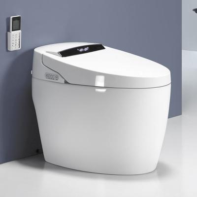 China Floor Mounted Ceramic One Piece Intelligent Toilet Bowl 3/6L White Bidet for sale