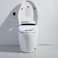 China Floor Mounted Ceramic One Piece Intelligent Toilet Bowl 3/6L White Bidet for sale