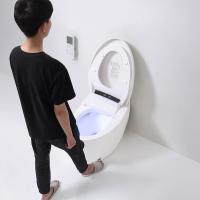 China Floor Mounted Ceramic One Piece Intelligent Toilet Bowl 3/6L White Bidet for sale