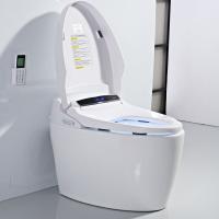 China Floor Mounted Ceramic One Piece Intelligent Toilet Bowl 3/6L White Bidet for sale