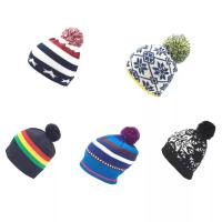 China Experience Warp Knitting Like Never Before with 5000PCS/HOUR Key Chain Pompom Machine for sale