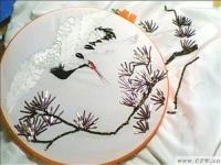 China 12/15 Needles Computer Embroidery Machine for T-shirt Flat Cap and More for sale