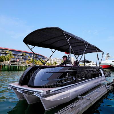 China Customizable 25ft Fiberglass Pontoon Boat 12-15 People With Swim Ladder for sale