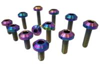 China Dished Head Plum Bolt Titanium bolts M24 Titanium Bike Screws for sale