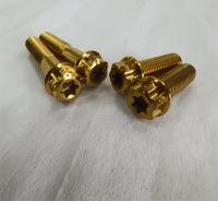 China Titanium Fully Threaded Hex Socket Flange Bolt Gr5 Ti6AL4V M6x20 Custom for sale