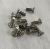 China Titanium Slotted Flat Head Screws M2/4/6/8 X 4 6 8 10mm Customized for sale