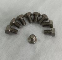 China Titanium Hex Head Bolt Screw Fully Threaded Short Length M6 M8 M10 Casting Technology for sale