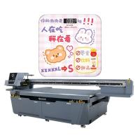 China Supply Instant Curing Hot High Precision Digital 2513 Flatbed UV Printer for sale