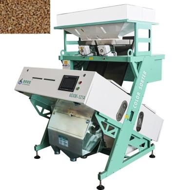 China ISO9001 50HZ Rice Sorting Machine Coffee Bean Color Sorter For Grains Processing for sale
