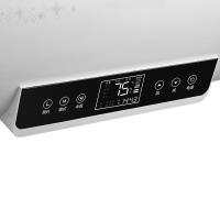 China 40L/50L/60L/80L 2000W Electric Bathroom Hot Storage Water Heater Plastic for Shower 1 Piece Touch Button Wall Mounted IPX4 220 for sale