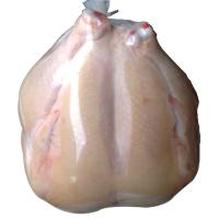 China Custom Printed Heat Shrink Bags 45-100um Thickness -40°C Freeze Resistant for Poultry Packaging for sale