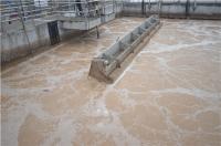 China SBR Food Processing Wastewater Treatment System 100-3000 m³/h Revolving Decanter for sale
