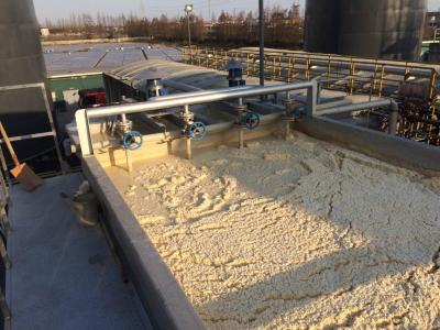 China Industrial DAF Dissolved Air Flotation equipment / sewage treatment system for sale