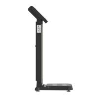 China LCD Display Type Airport Hotel Coin Luggage Scale Pharmacy Coin Weight Scale for sale