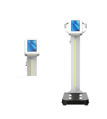 China Professional Body Fat Muscle BMI Machine Accurate Weight Measurement Scale for Health for sale