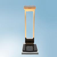 China Customer Requirements 300kg Capacity Steel Coin Operated Luggage Scale for OEM/ODM for sale