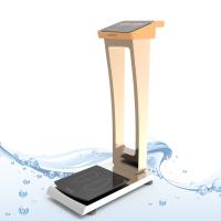 China User-Friendly 0.1kg Division Coin Operated Baggage Weighing Scale for Hotel Guests for sale
