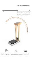 China 2024 Electronic Digital Coin Operated Human Weight Measuring Machine with LED Display for sale