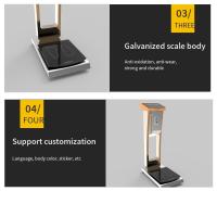 China 2024 Electronic Digital Coin Operated Human Weight Measuring Machine with LED Display for sale
