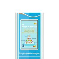 China CE ISO9001 Certified Gym Height Scale with Weight and Body Mass Index Analyzer for sale