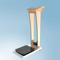 China Luggage Scale for Easy Weighing at Airport Hotels Overall Size 33*55*100cm G.W. 35kg for sale