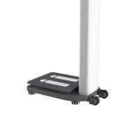 China AC 100-240V Power Supply Adult Height Meter Weighing Scale with Height Measuring for sale