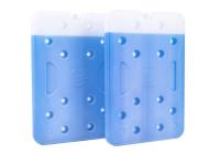 China 1300ml Reusable Blue Ice Freezer Pack Ice Gel Block for Cooler Box for sale
