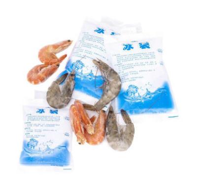 China Recycable Water Injection Ice Pack 400ml/600ml/1000ml Food Medicine Seafood Cold Storage Bag for sale