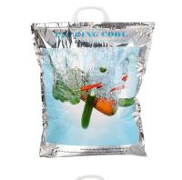 China Therapeutic Aluminum Foil EPE foam PE Insulated Bag for Hot and Cold Beverage Delivery for sale