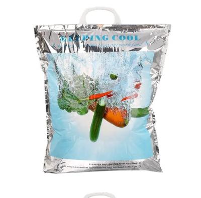 China Therapeutic Aluminum Foil EPE foam PE Insulated Bag for Hot and Cold Beverage Delivery for sale
