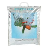 China Therapeutic Aluminum Foil EPE foam PE Insulated Bag for Hot and Cold Beverage Delivery for sale