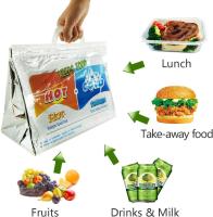 China PE Waterproof Thermal Insulated Portable Plastic Sealer for Cold Alusupermarket Cooler Bag for sale