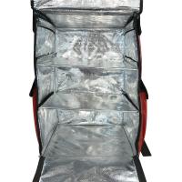 China 10*10*10inch Peva Cooler Bag for Large Food Delivery and Customized Grocery Shopping for sale