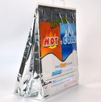 China Plastic Handle Hot Cold Cooler Bag for Shopping Custom Thermal Insulated Lunch Food for sale