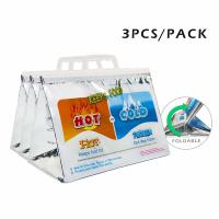 China Plastic Handle Hot Cold Cooler Bag for Shopping Custom Thermal Insulated Lunch Food for sale